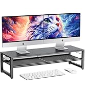 Amazon.com: ECOLOVI Desk Organizers and Accessories, Dual Monitor Stand ...