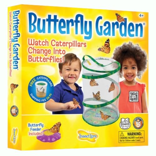 Free Butterfly Unit Study | Mombrite