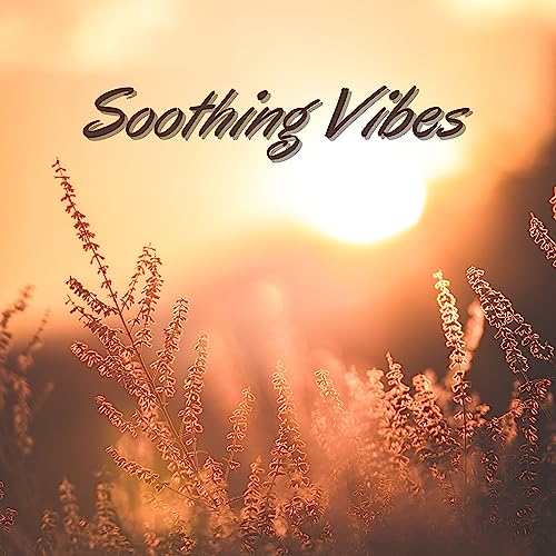 Écouter Soothing Vibes: Tranquil Beats for Ultimate Relaxation and ...