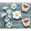 Amazon.com: BUZZY Seeds Daydream Mini Terracotta Pots 12-Pack with ...
