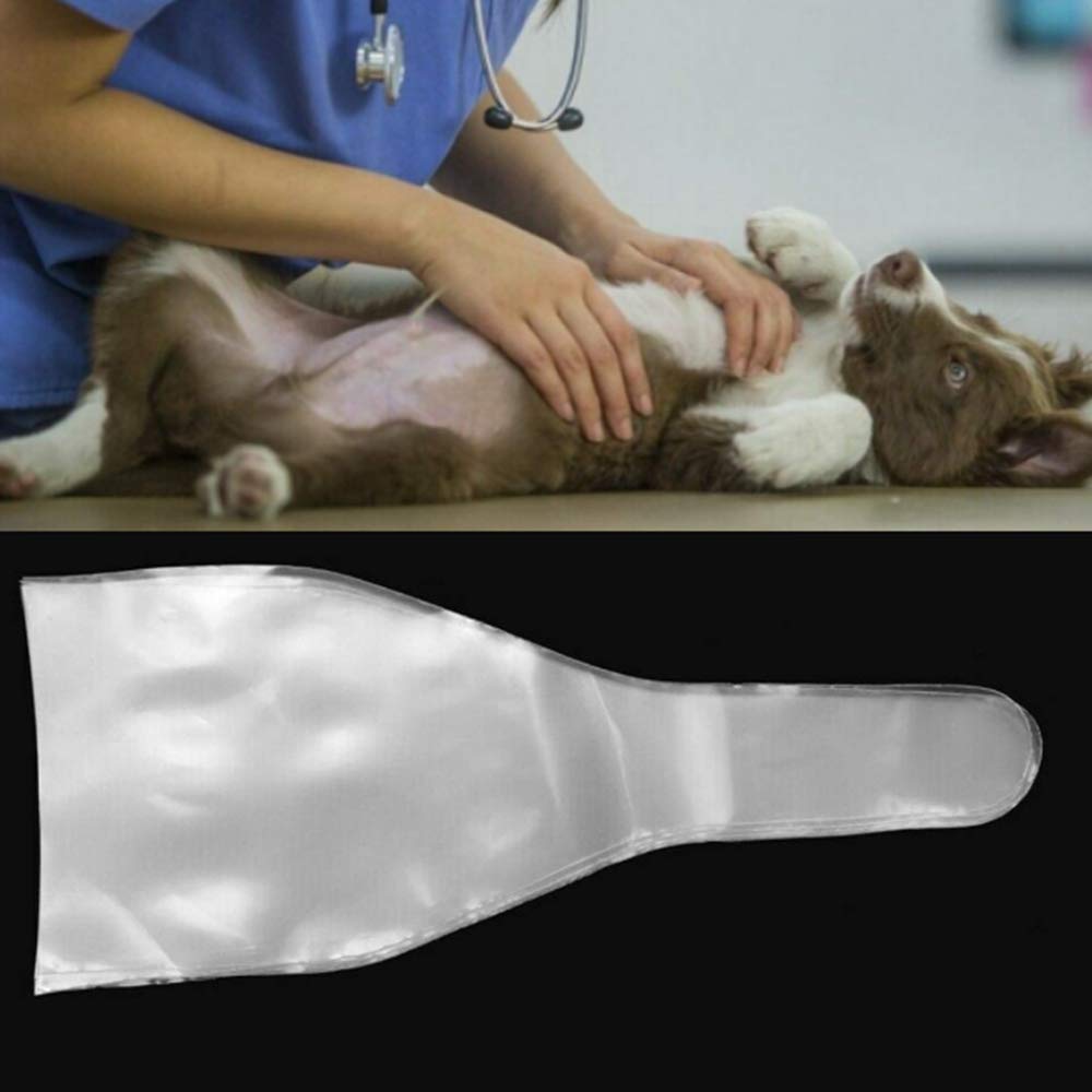 BAIHUE 100Pcs Canine Semen Collection Cones, Next Generation Disposable ...