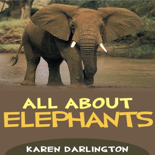 Amazon.com: All About Elephants (Audible Audio Edition): Karen ...