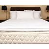 Amazon.com: Bio Sleep Concept GFMT-T Downia Feather and Down Mattress ...