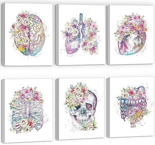 CHDITB Medical Anatomical Art Set 6(8”x10”) Vintage Gothic Human ...