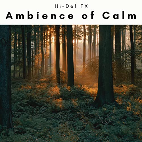 Amazon MusicでHi-Def FXの1 Ambience of Calmを再生する