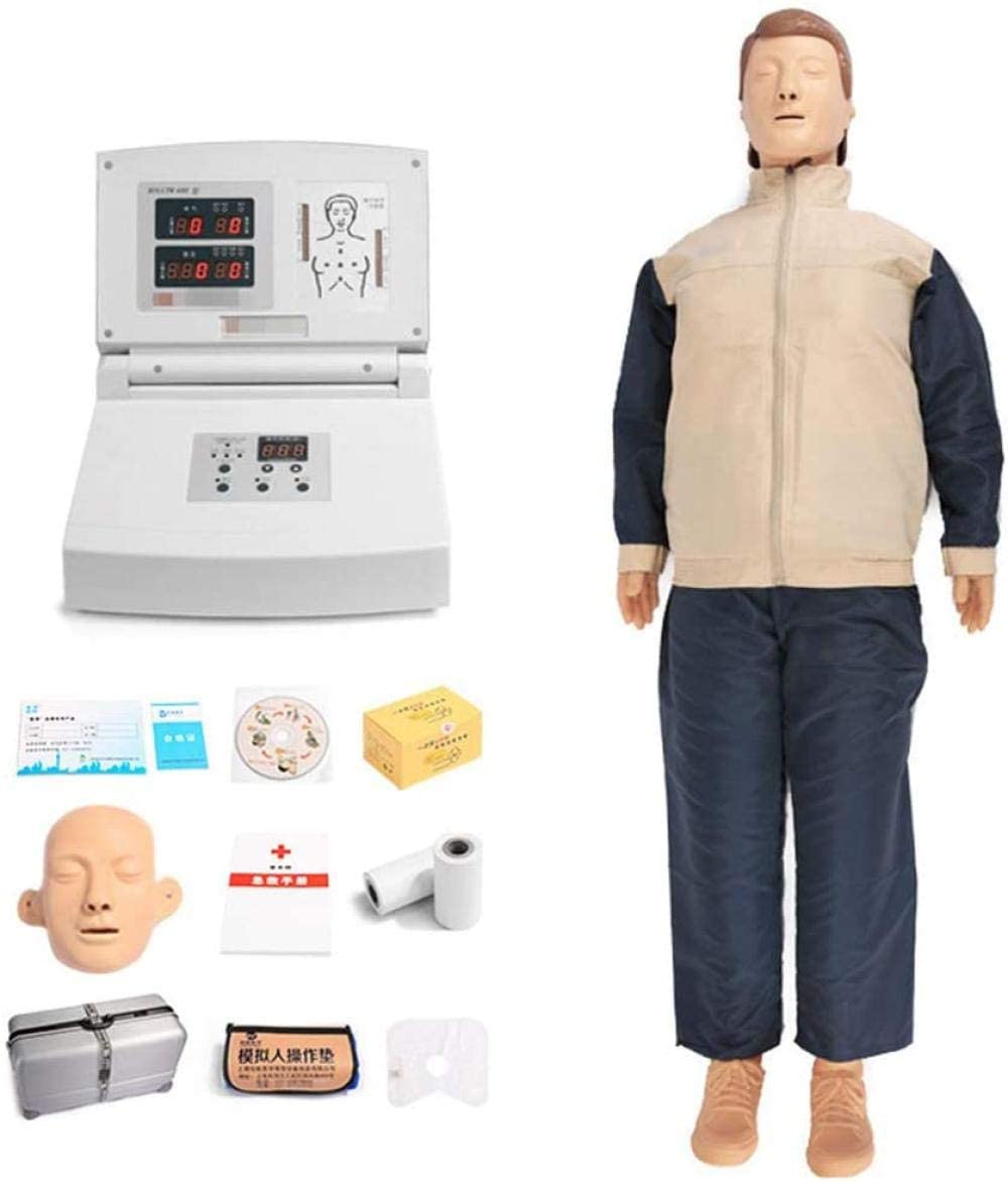 Buy Adult Training Manikin with Feedback Monitors Cardiopulmonary ...