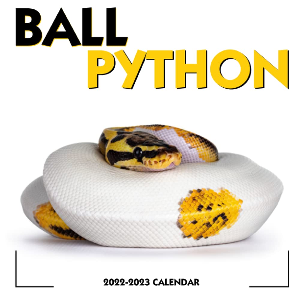 Buy Ball Python 2022: Ball Python 2022-2023 animals-animal wildlife July 2022 to December 2023 ...