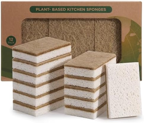 Amazon.com: Grove Co. Sponges, Natural Coconut Scrubber Kitchen Sponge ...