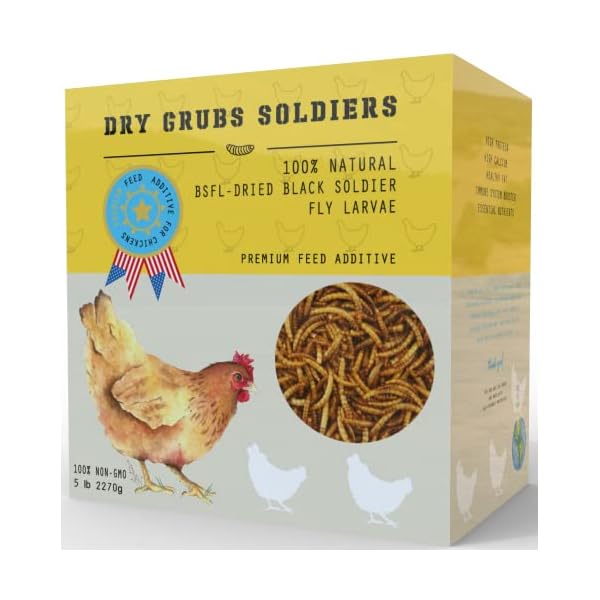 DRY GRUBS SOLDIERS - Non-GMO Dried Black Soldier Fly Larvae, High ...