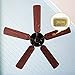 Amazon.com: Alpurple 3 Set Ceiling Fan Blade Balancing Kit,Fan ...