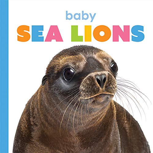 Baby Sea Lions (Starting Out): Riggs, Kate: 9781628328875: Amazon.com: Books
