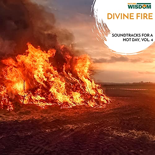 Música Himalayan Mountain Wind Summer Day de Fire Soul Nature Sounds ...