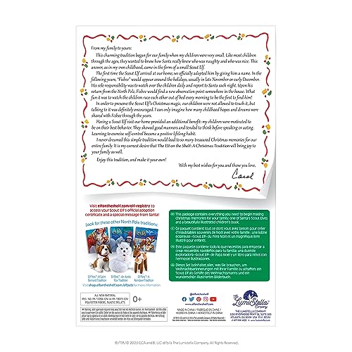 The Elf on the Shelf: A Christmas Tradition - Girl Scout Elf with Brown ...