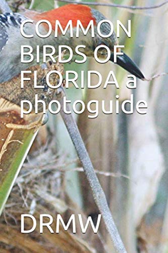 COMMON BIRDS OF FLORIDA a photoguide: DRMW: 9781688500822: Amazon.com ...