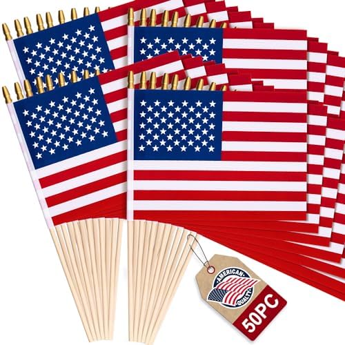 Amazon.com : 50 Pack Small American Flags on Stick, 8x12 Inch Mini US ...