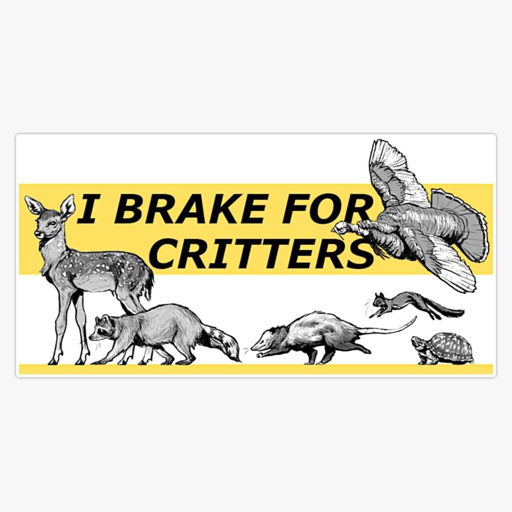 Amazon.com: I Stop for Critters Bumper - Bumper for Car Animal Lover ...