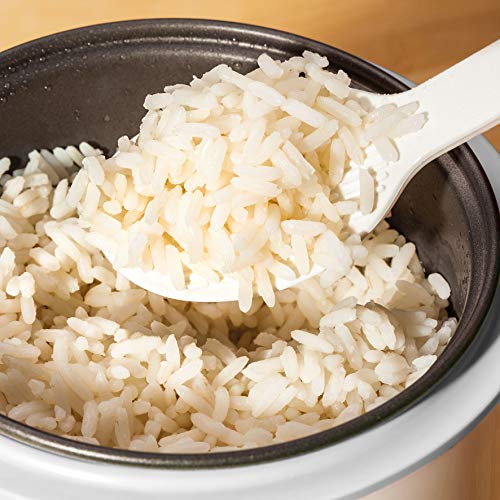 Judge Small Electric Rice Cooker - Fully Automatic, for 2 Servings ...