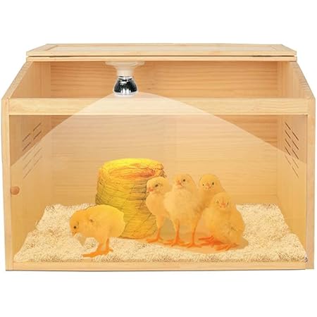 Amazon.com: Brooder Box for Chicks,5-12 Chicken Brooder Heater, Chicken ...