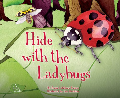 Amazon.com: Hide With the Ladybugs (A Bug's World): 9781602707856 ...