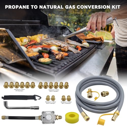 Upgraded Propane to Natural Gas Conversion Kit it Fit for Weber Genesis ...