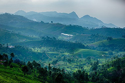 The Nilgiris - HQ Poster - 300GSM - Matte Laminated (18 X 12) Inches ...