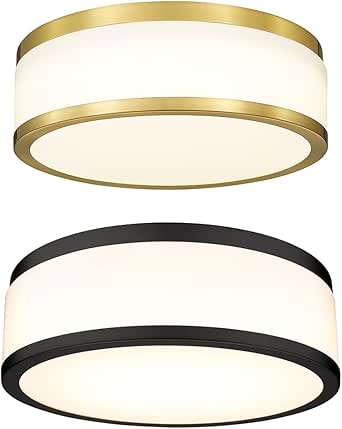 LMS Ceiling Light Sets, Set of 2 Matching Bundle, Modern Industrial ...