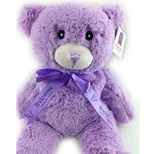Buy Generic Stuffed Teady Bear Purple Colour Online at Low Prices in ...