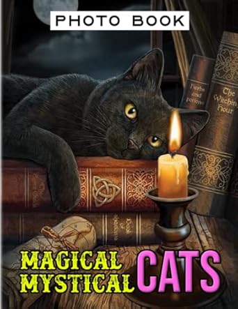 Magical Mystical Cats Photography Book: Photo Album About Witchcraft ...