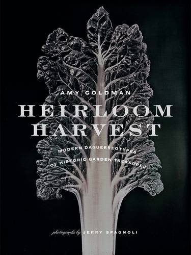Heirloom Harvest: Modern Daguerreotypes of Historic Garden Treasures ...