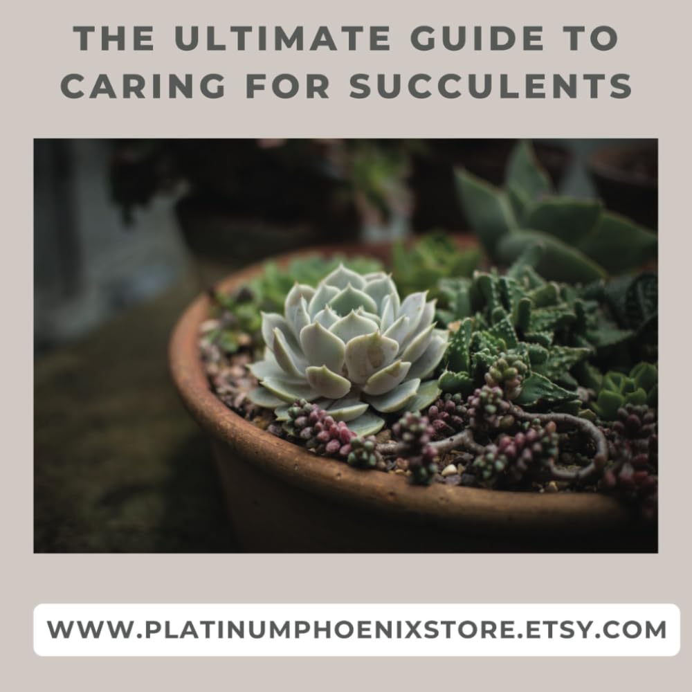 The Ultimate Guide to Caring for Succulents: Educational Instruction ...