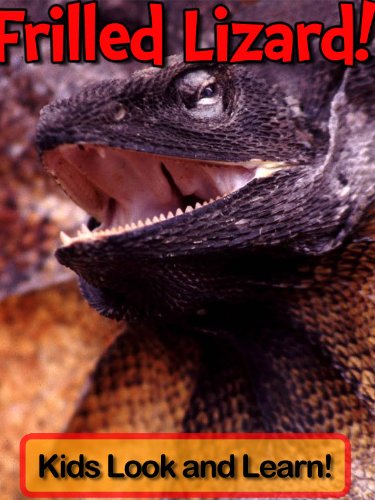 Frilled Lizards! Learn About Frilled Lizards and Enjoy Colorful ...