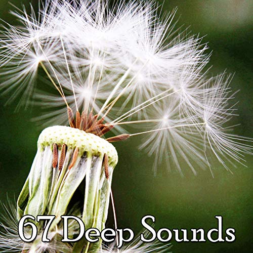 67 Deep Sounds by Music For Reading on Amazon Music - Amazon.co.uk