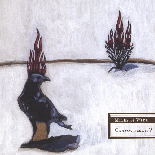 Amazon.com: Can You Feel It? : Miles of Wire: Digital Music