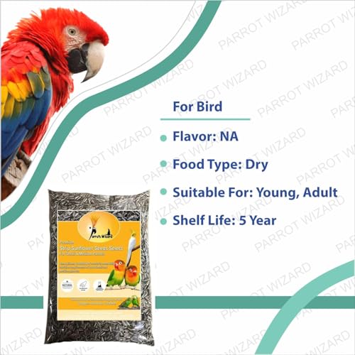 Parrots Wizard Small Size Strip Sunflower Seeds 900 Grams-Pack Of 4 ...