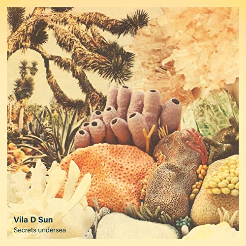 Amazon.com: Secrets Undersea : Vila D Sun: Digital Music