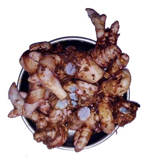 Vidagdha Black Turmeric Original | Kali haldi | Karumanjal (75 Gram ...