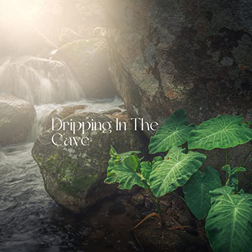 Amazon.co.jp: Dripping In The Cave : Natural Sound Makers: Digital Music