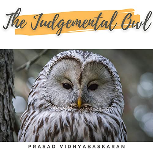 Play The Judgemental Owl by Prasad Vidhyabaskaran on Amazon Music