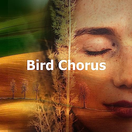 Amazon Music - Birds 3AMのBird Chorus - Amazon.co.jp