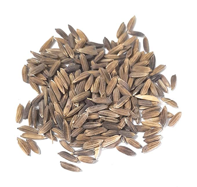 STOKIYA BLACK RICE PADDY F1 HYBRIDE VARIETY RAREST MANIPURI PADDY (5KG ...