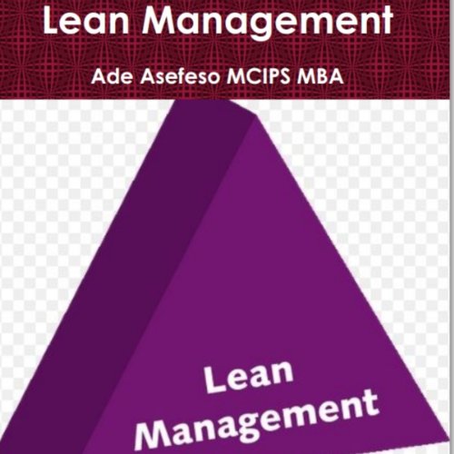 Amazon.com: Lean Management (Audible Audio Edition): Ade Asefeso MCIPS ...