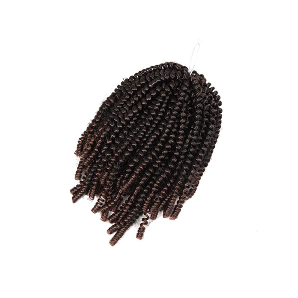 Amazon.com : 3 Packs Spring Curl Hair Twist Crochet Braids Hair ...