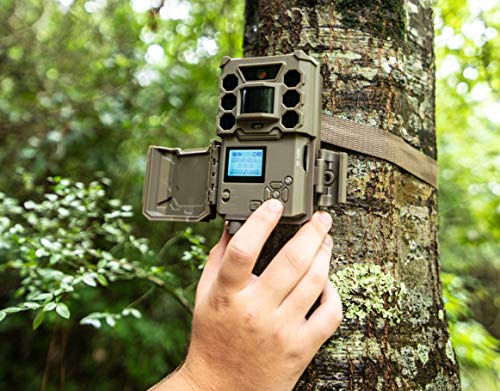 The 23 Best Bushnell Hunting & Trail Cameras of 2024 [Verified ...