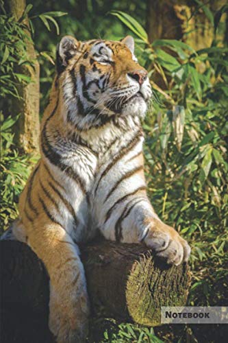 Tiger Notebook: Unique Tiger Journal, Notebook for animal and big cats ...