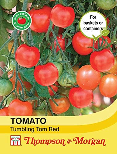 Thompson & Morgan - Vegetables - Tomato Sungold F1 Hybrid - 8 Seed ...