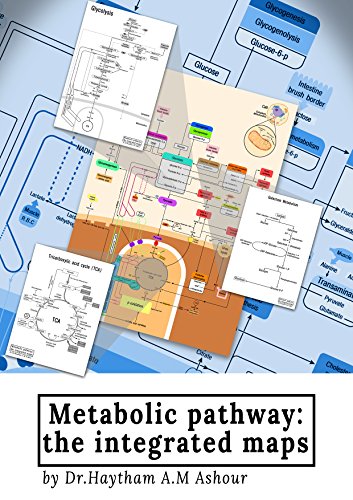 Metabolic pathway: the integrated maps - Kindle edition by ashour ...