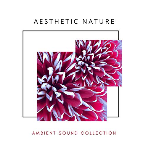 Amazon.com: Aesthetic Nature - Ambient Sound Collection : Serenity ...