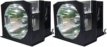 Amazon.com: Migokrust 2 Pack Genuine Original Replacement Projector ...