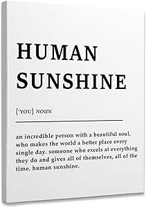 Amazon.com: Human Sunshine Definition Framed Canvas Wall Art Decor 11× ...