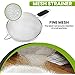 Amazon.com: Kafoor 5.5" Fine Mesh Strainer with thermo plastic rubber ...